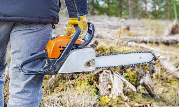 Woodland Trainers Association – Forestry Training Courses