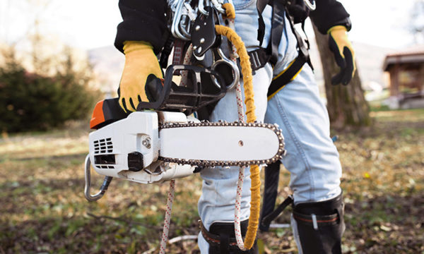Chainsaw Safety Level 2 – 3 – Woodland Trainers Association